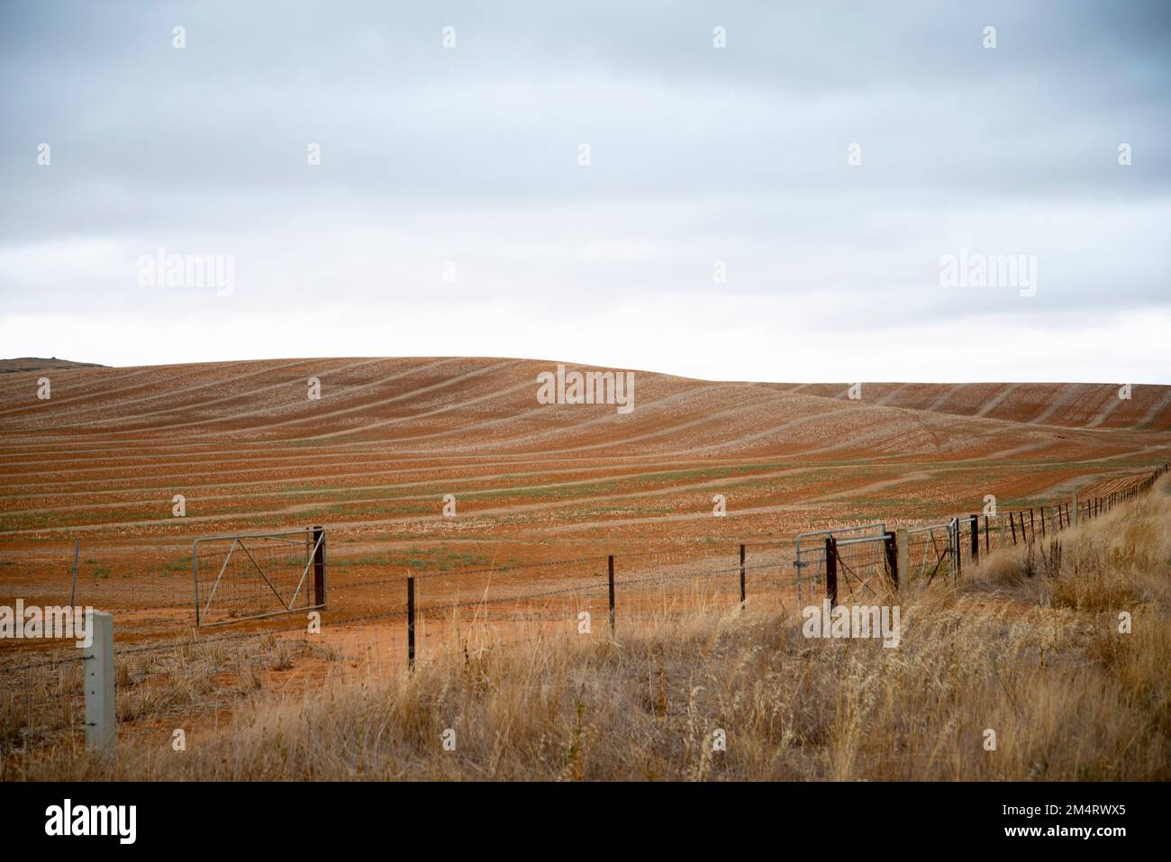 Agricultural Fields in the District of Orroroo - South Australia Stock ...