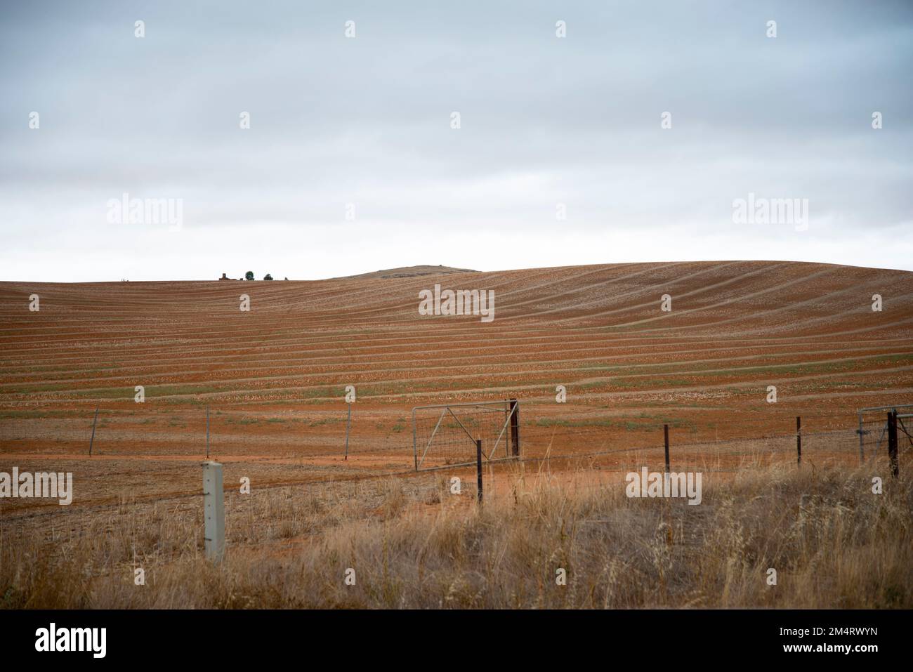 Agricultural Fields in the District of Orroroo - South Australia Stock ...