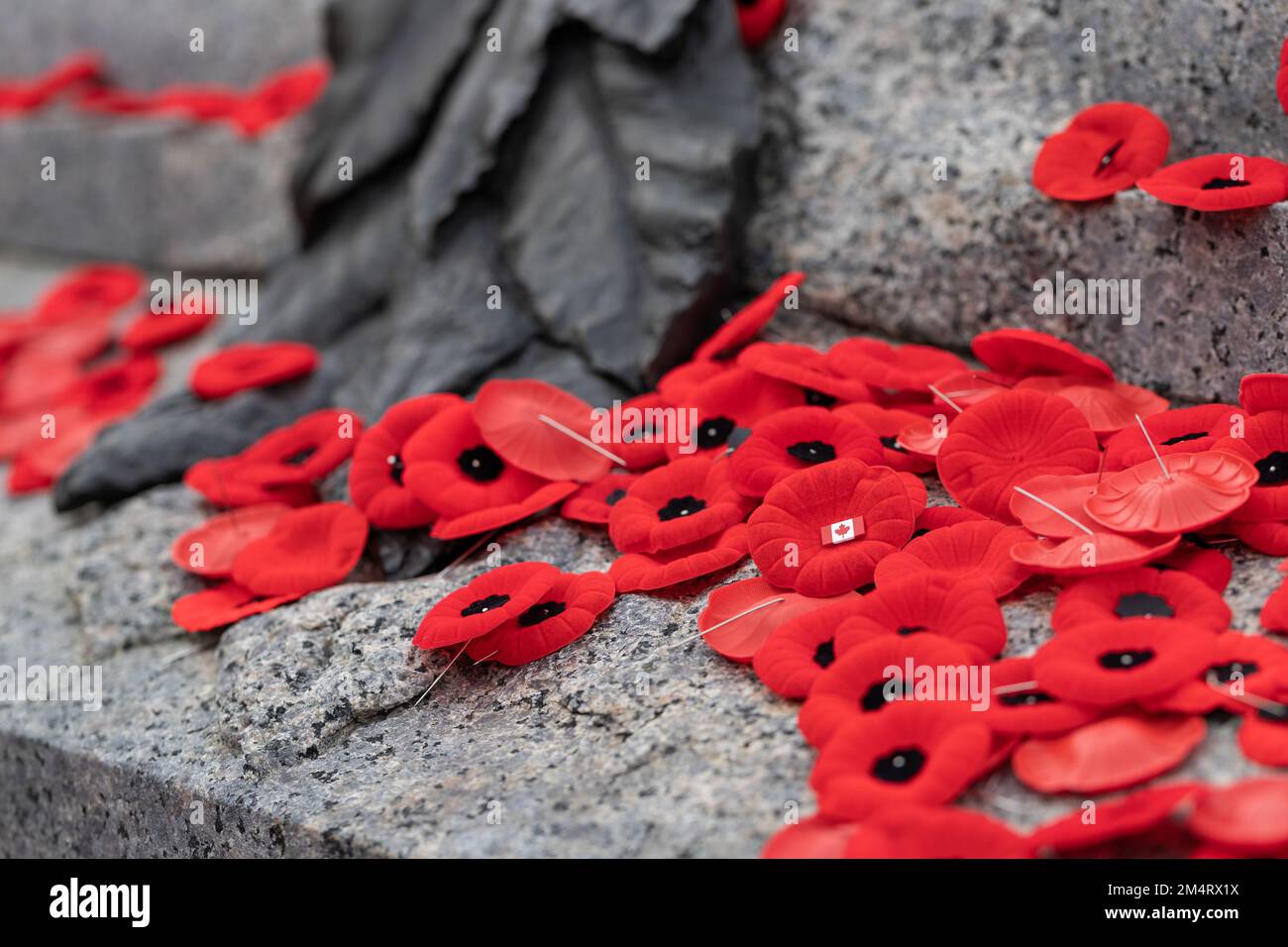 Remembrance Day red poppy flowers on Tomb of the Unknown Soldier in ...
