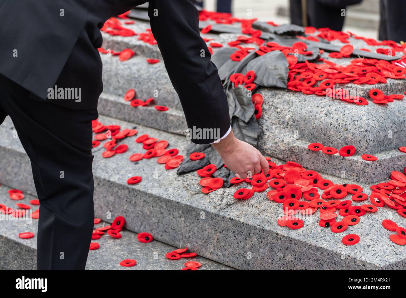 People put poppy flowers on Tomb of the Unknown Soldier in Ottawa ...