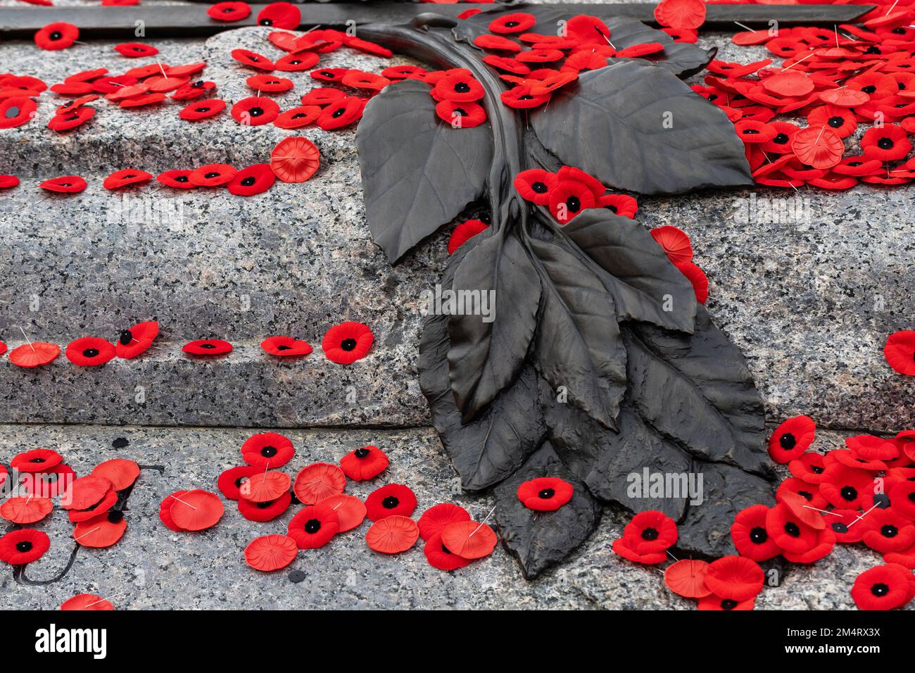 Red poppy flowers on Tomb of the Unknown Soldier in Ottawa, Canada on ...