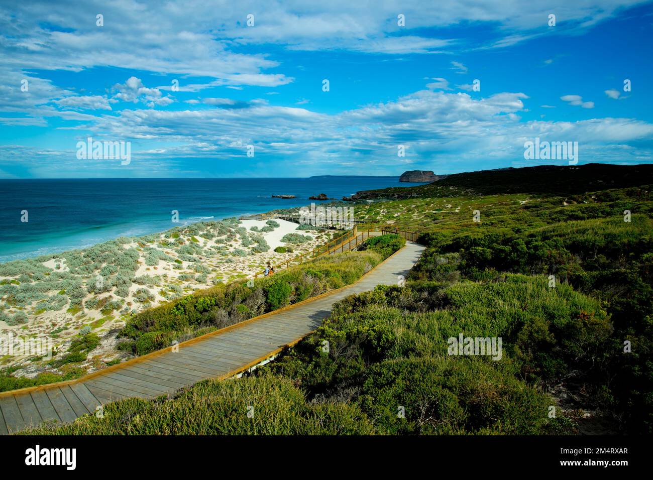 Seal Bay Conservation Park - Kangaroo Island Stock Photo - Alamy