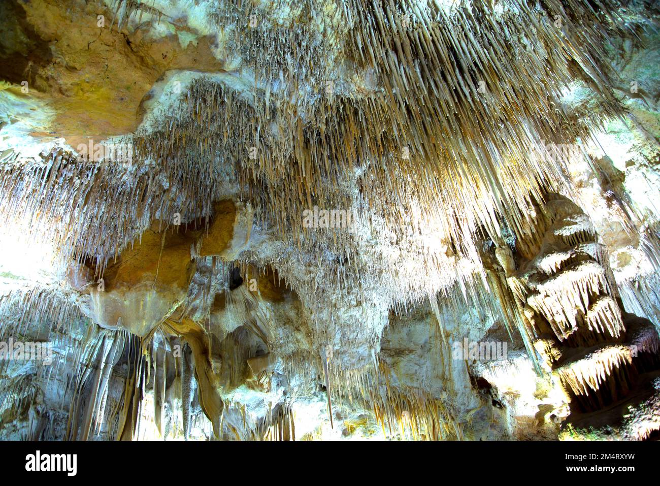 Tantanoola Caves - South Australia Stock Photo - Alamy