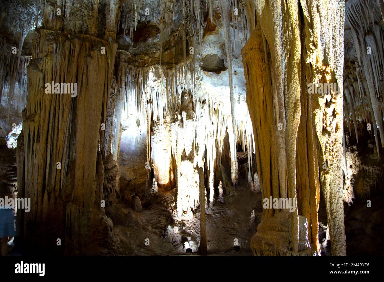 Tantanoola Caves - South Australia Stock Photo - Alamy