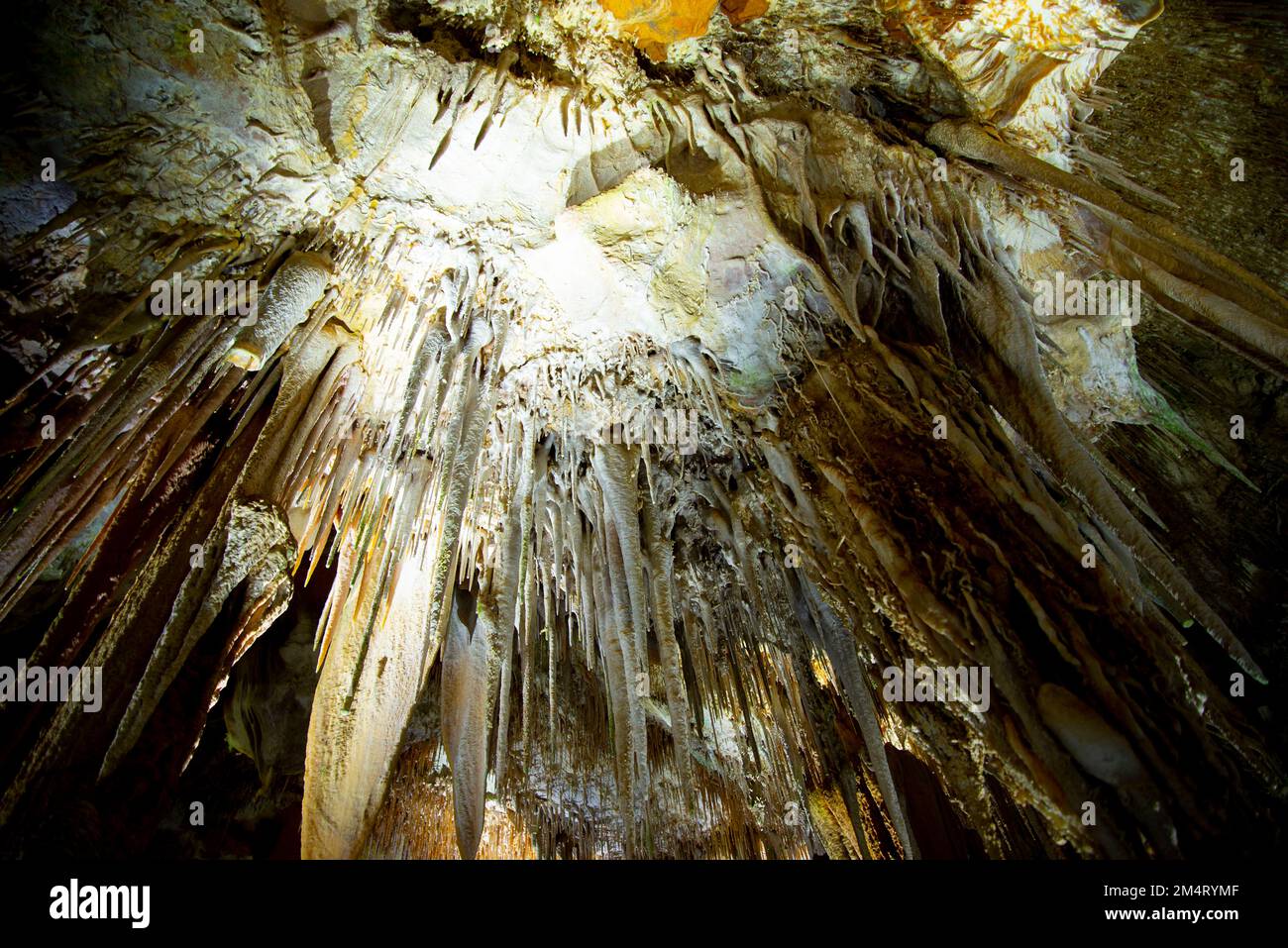 Tantanoola Caves - South Australia Stock Photo - Alamy