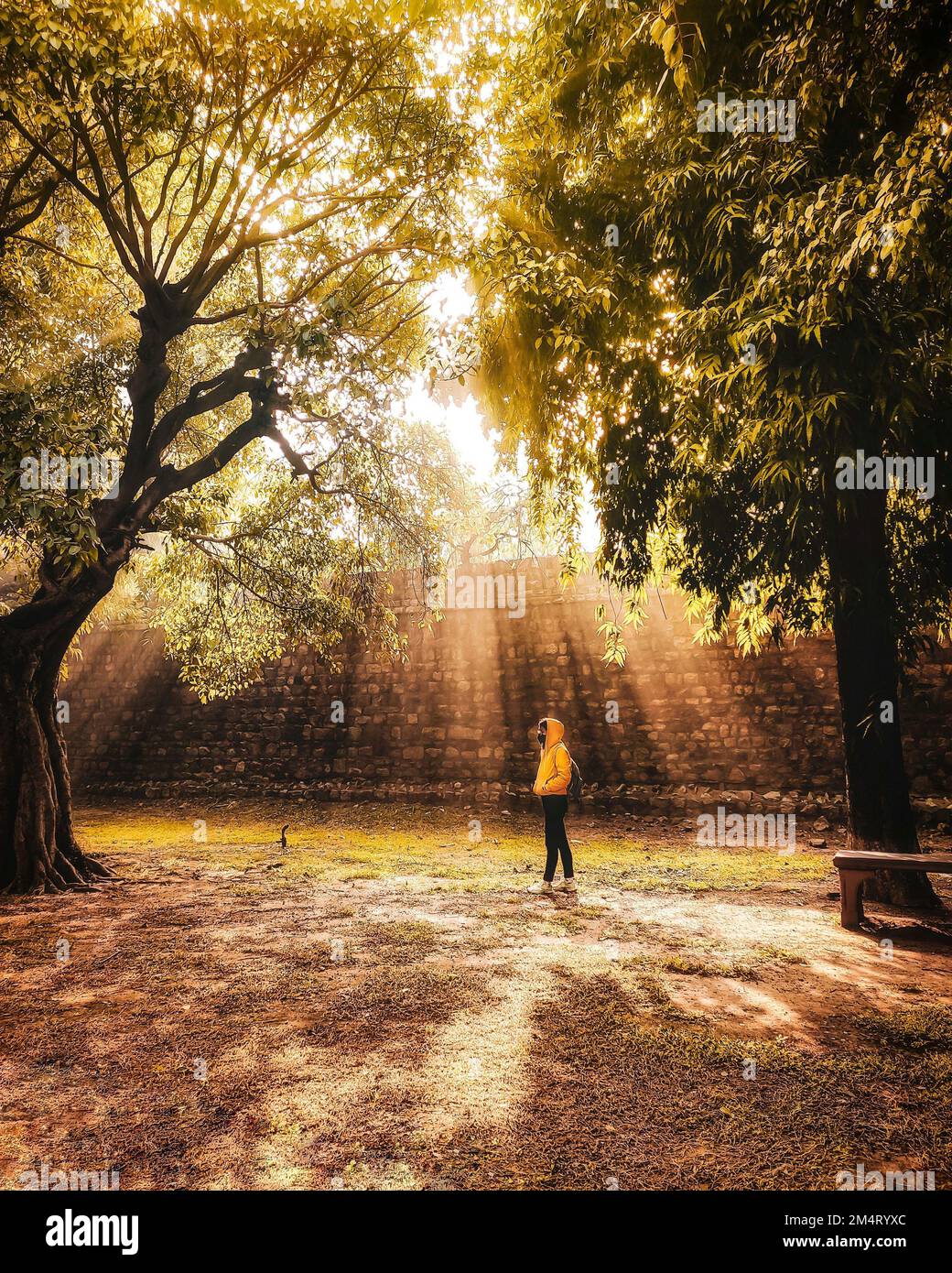 Delhi city forest hi-res stock photography and images - Alamy