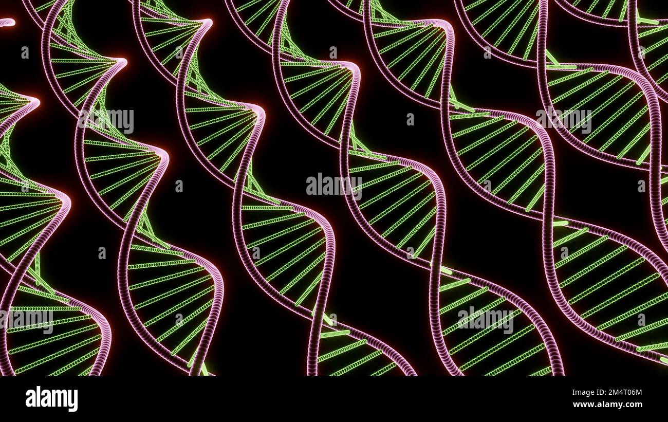 3d footage human anatomy hi-res stock photography and images - Alamy