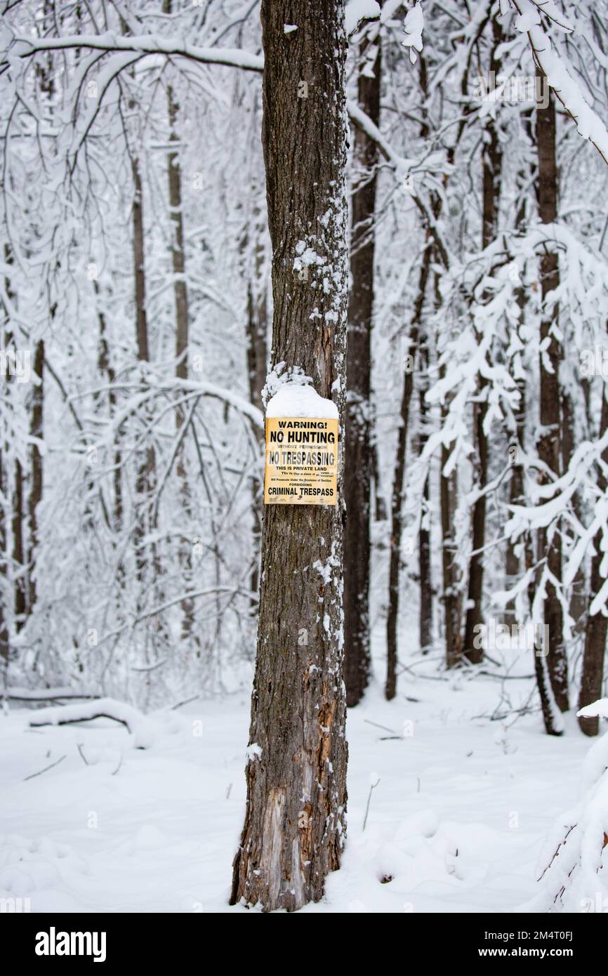 No hunting, no trespassing sign on a snowy tree in Wisconsin, vertical ...