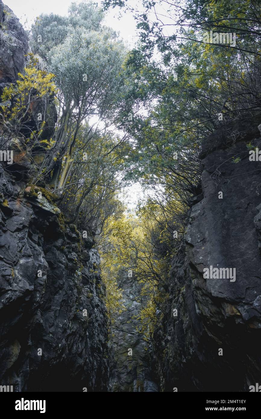 A Track for train between mountains and tunnel with green trees Stock ...
