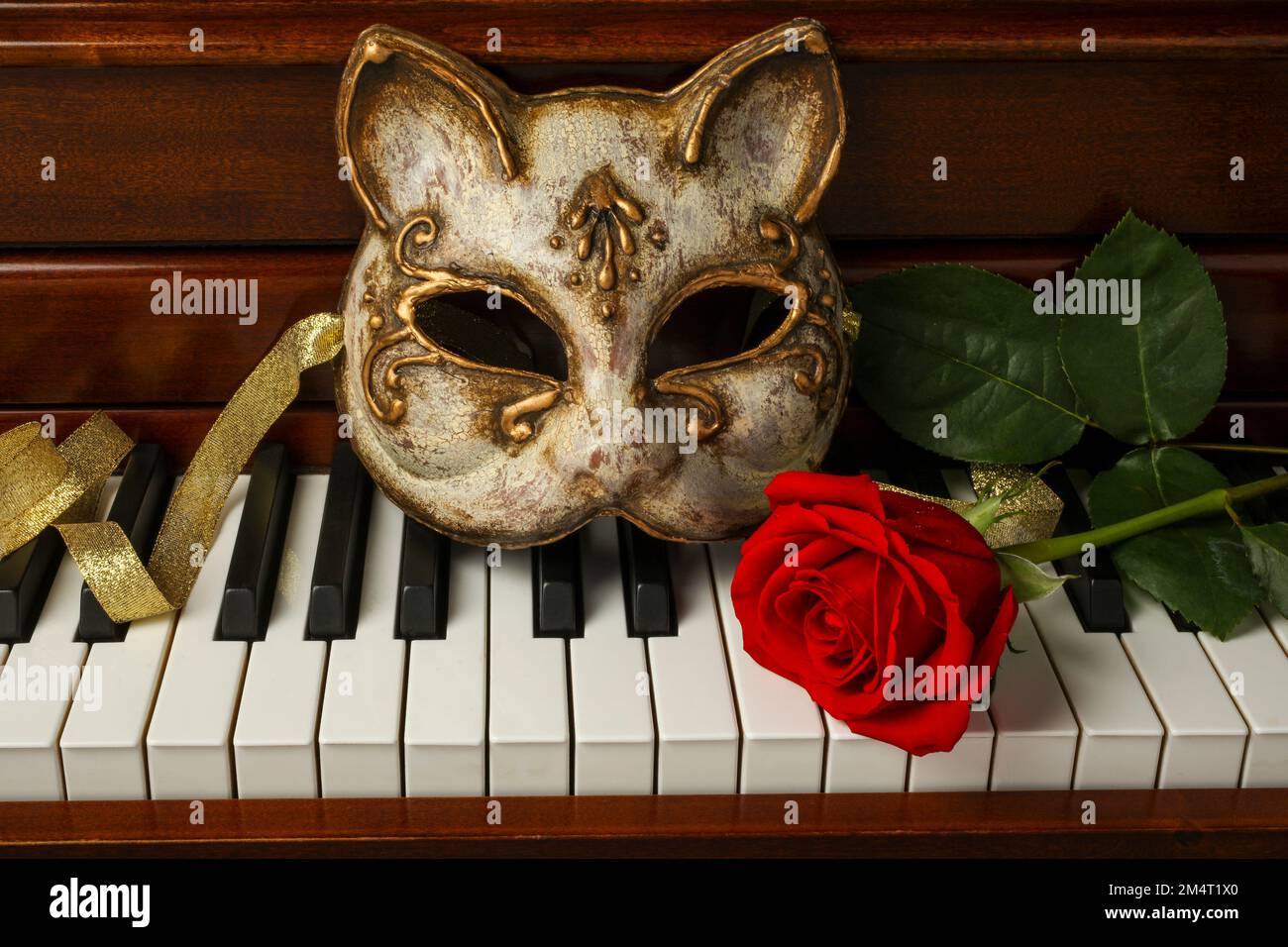 Cats musical costume hi-res stock photography and images - Alamy