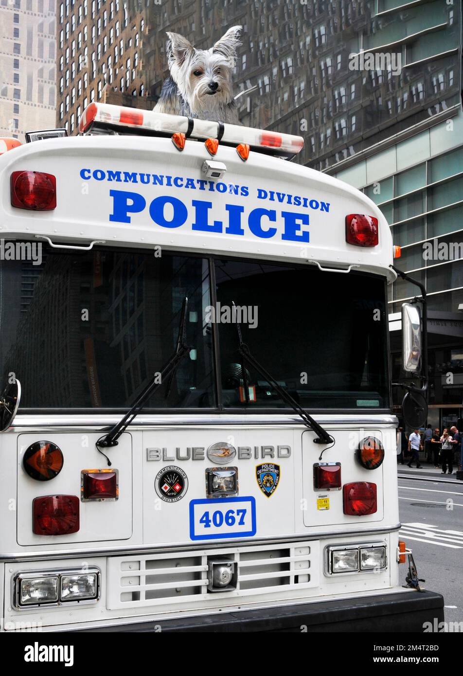 Bus police hi-res stock photography and images - Alamy