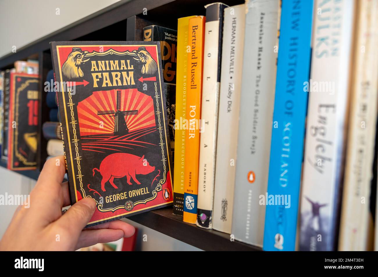 Animal Farm Front Book Cover