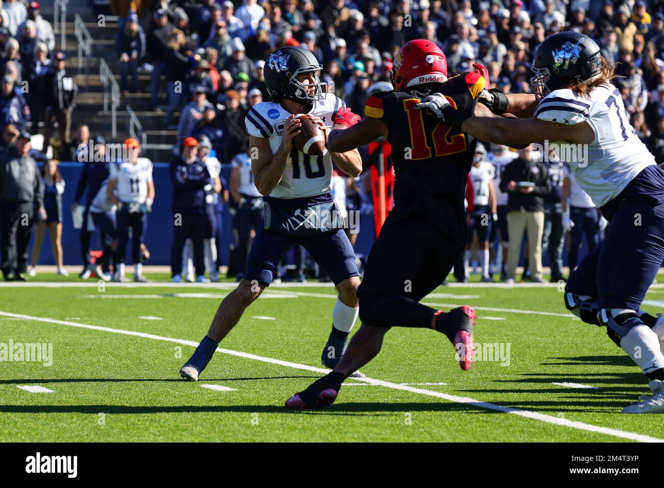 Colorado School of Mines Orediggers quarterback John Matocha (10) drops ...
