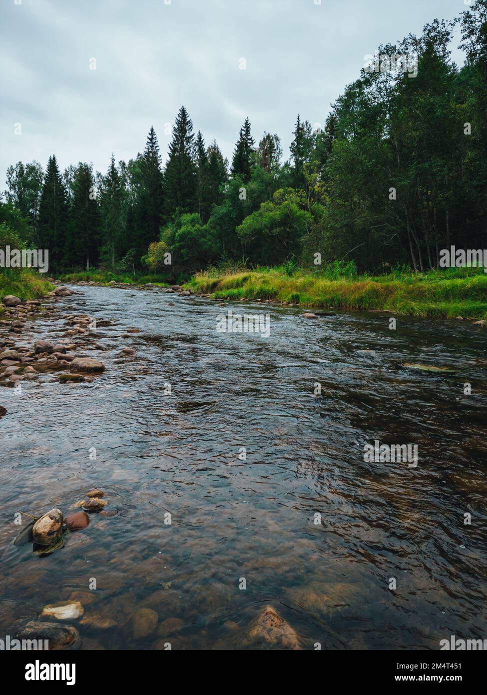 A vertical of a shallow Amata river with rocky shoreline in a national ...