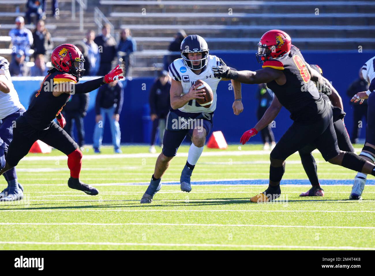 Colorado School of Mines Orediggers quarterback John Matocha (10 ... Colorado School of Mines Orediggers quarterback John Matocha (10 ...