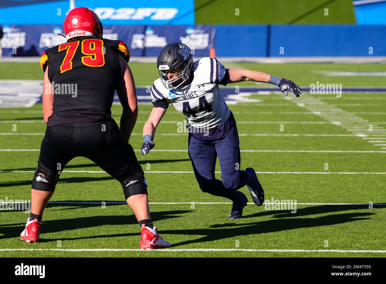 Jaden healy hi-res stock photography and images - Alamy