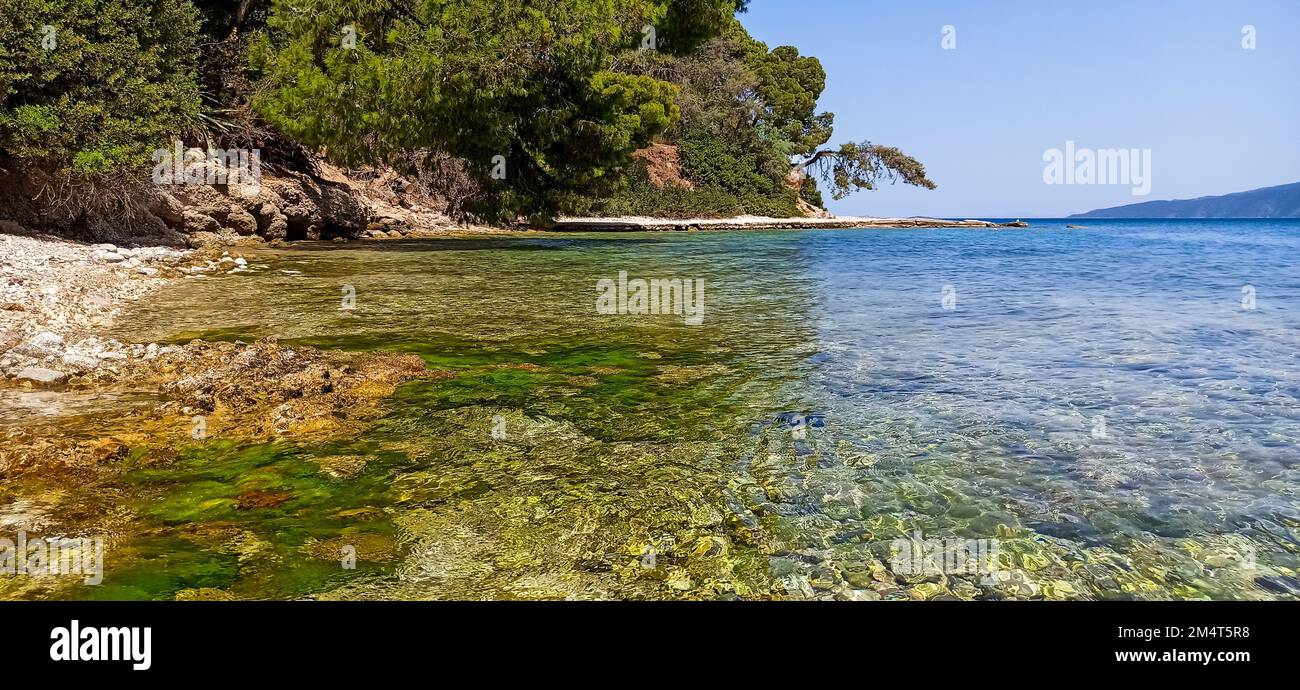 A beautiful view of the algae on the rocks in the crystal clear sea in ...