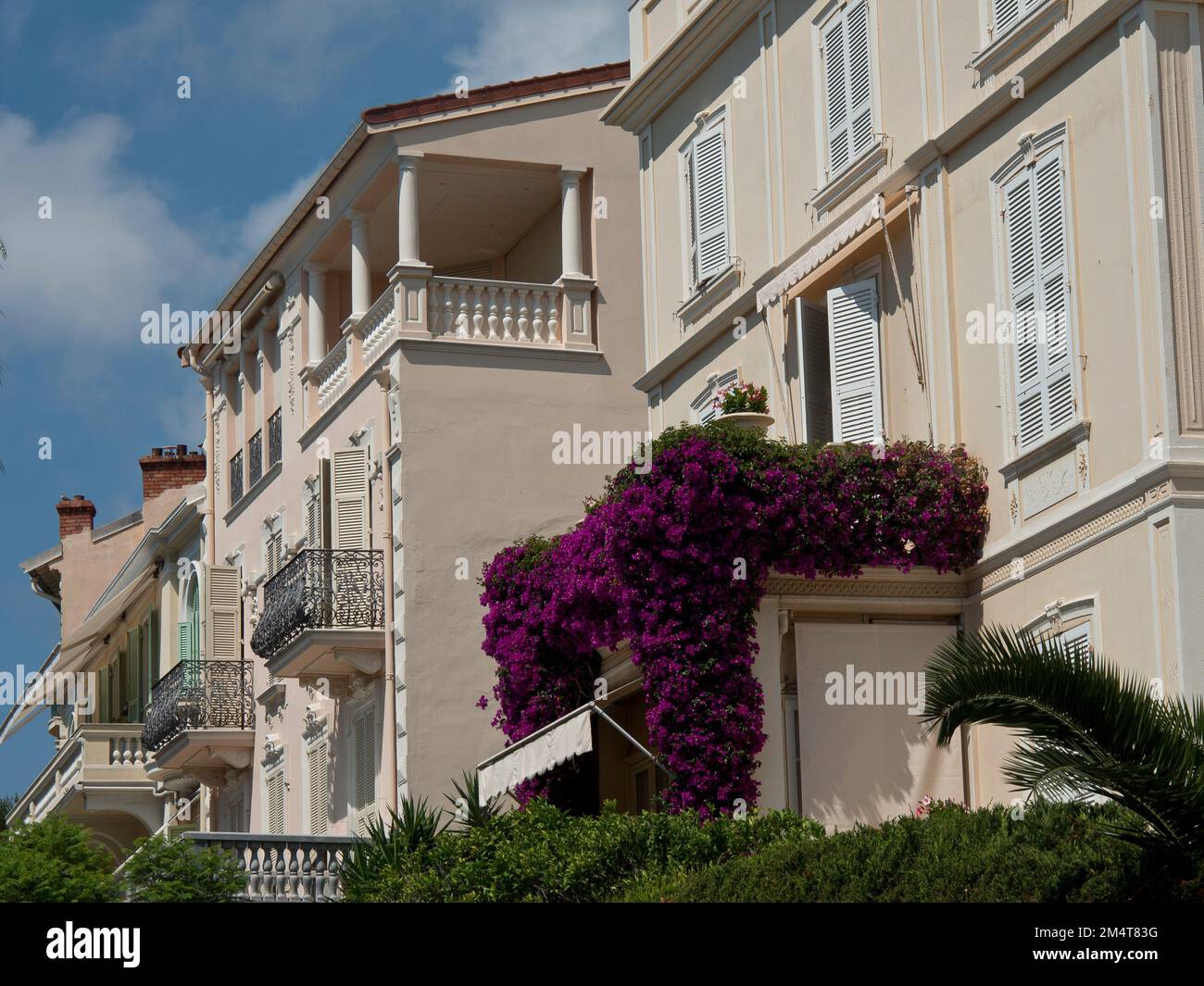 A beautiful view of the architectures of Monaco with greenery on a ...