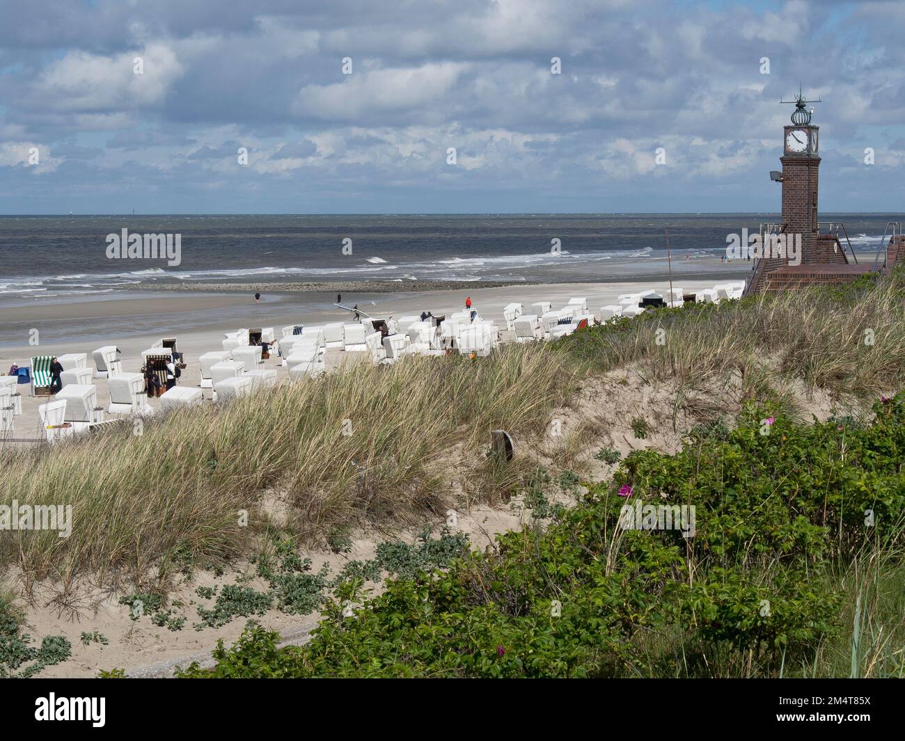 The green plants with a clock tower on the beach of Wangerooge island ...