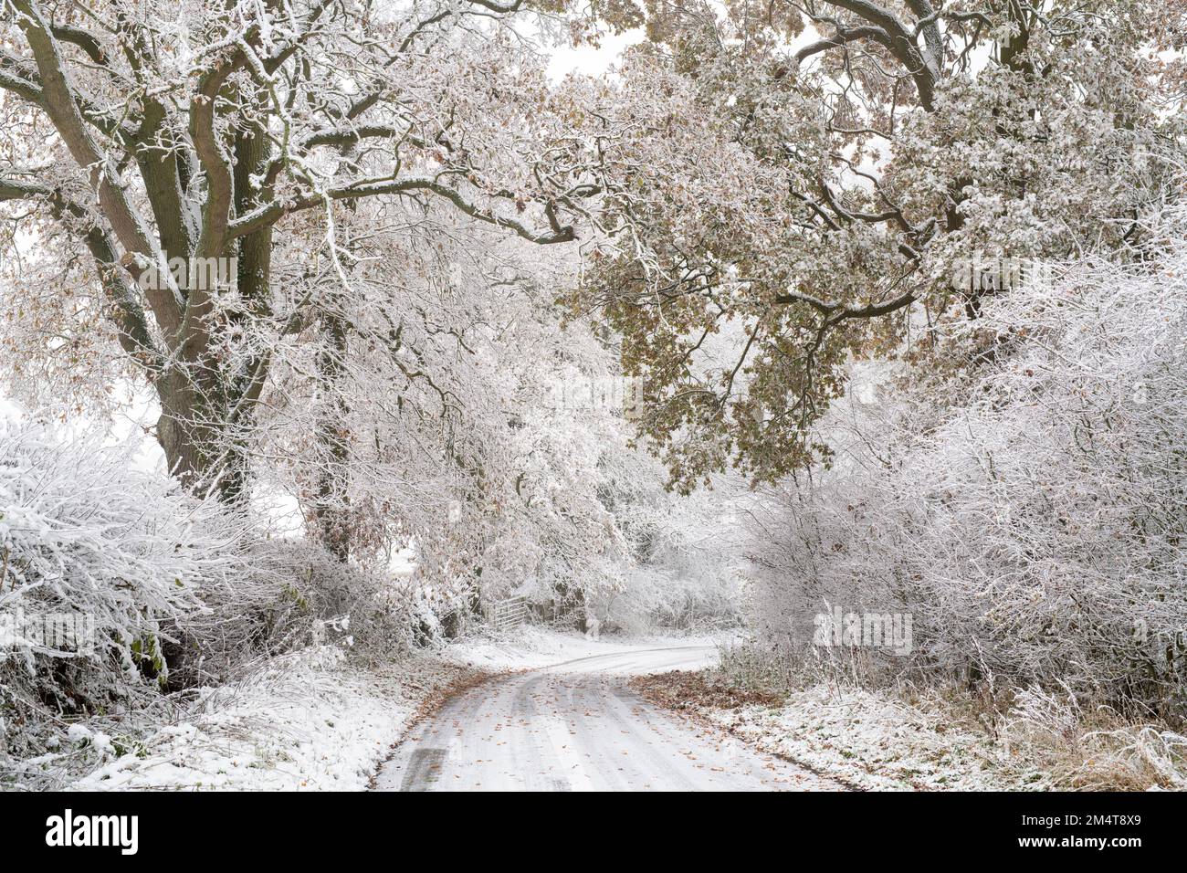 Warwickshire countryside in the winter snow. Cotswolds, Warwickshire ...