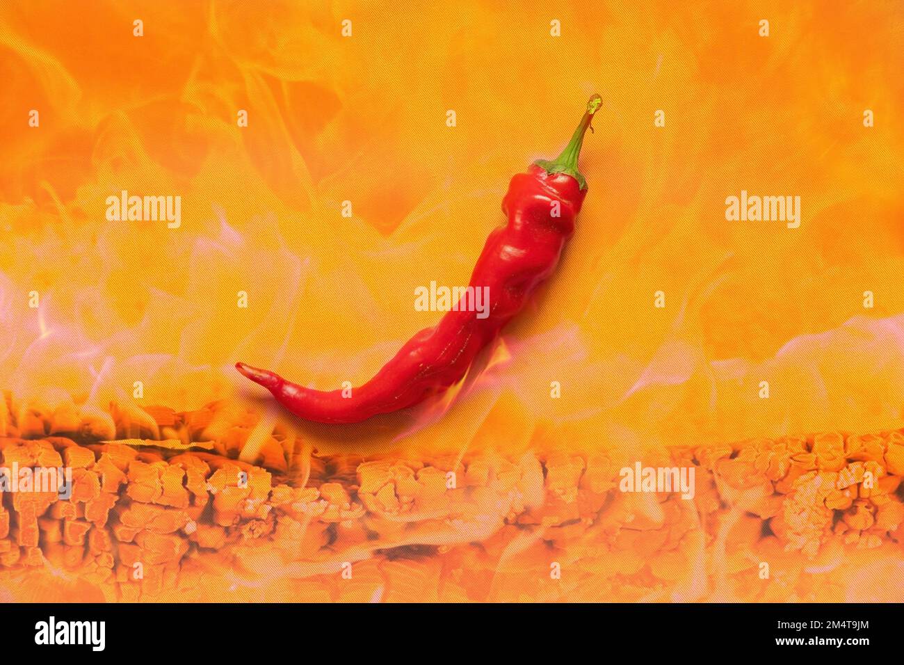 one red hot chili pepper on fire background Stock Photo - Alamy