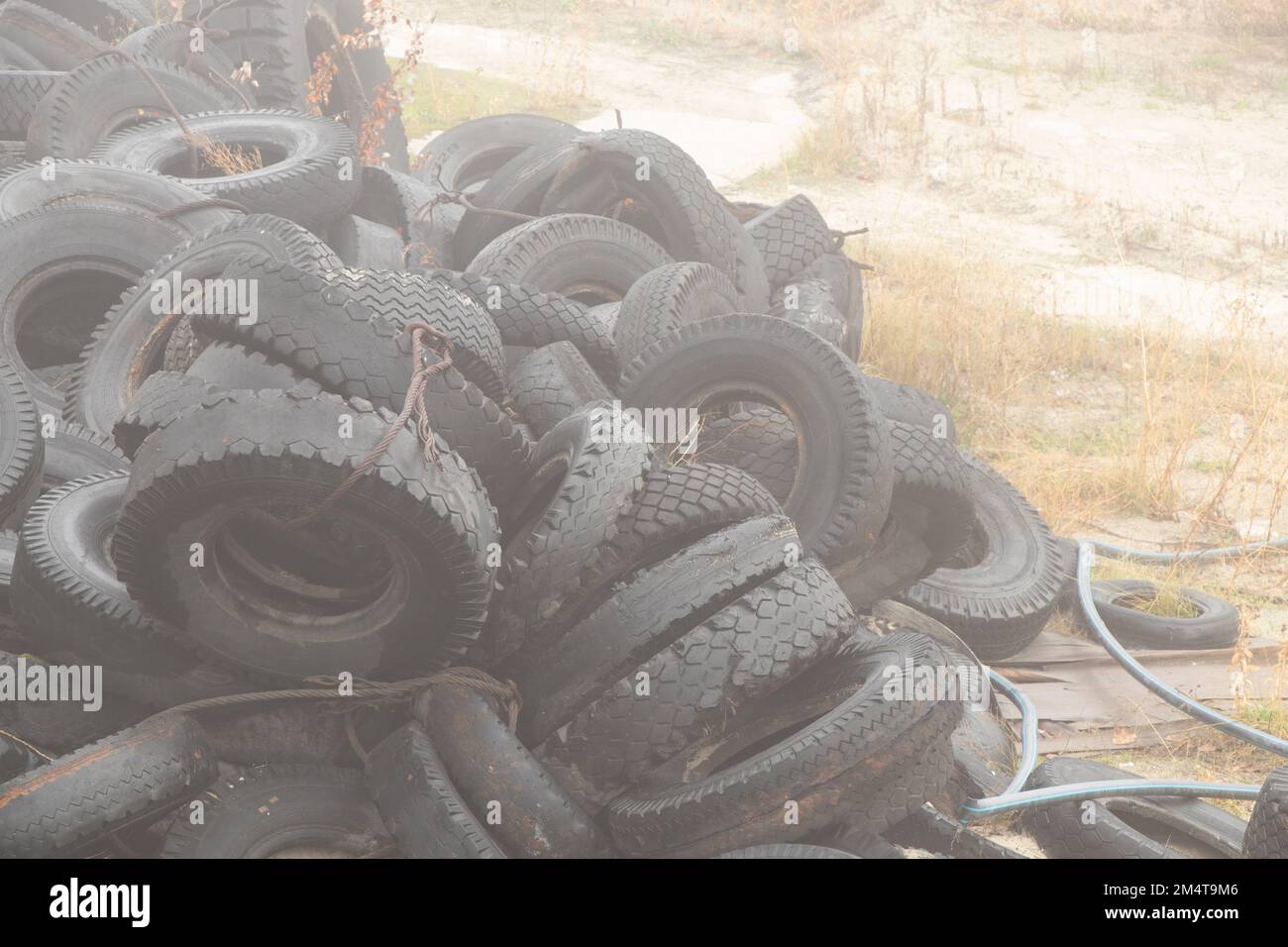 old used tires lie on the ground in a landfill in ukraine, an ...
