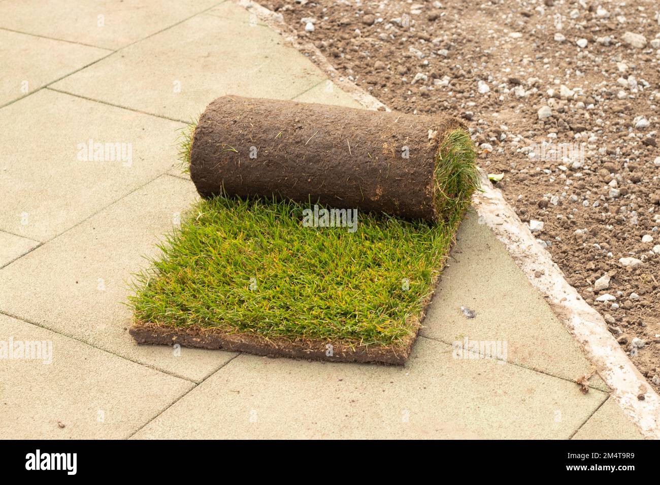 laying new green grass in the park, landscaping the park Stock Photo ...