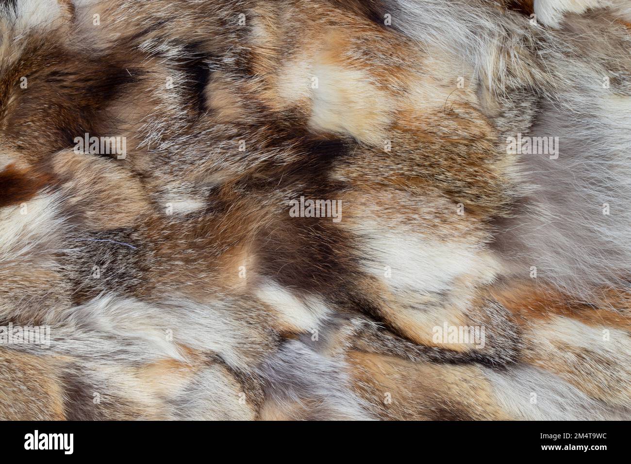 fur coat from pieces of fur of different animals as a background Stock ...