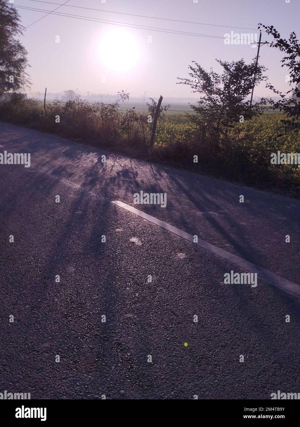 sunrise view over road and field in the early morning Stock Photo - Alamy