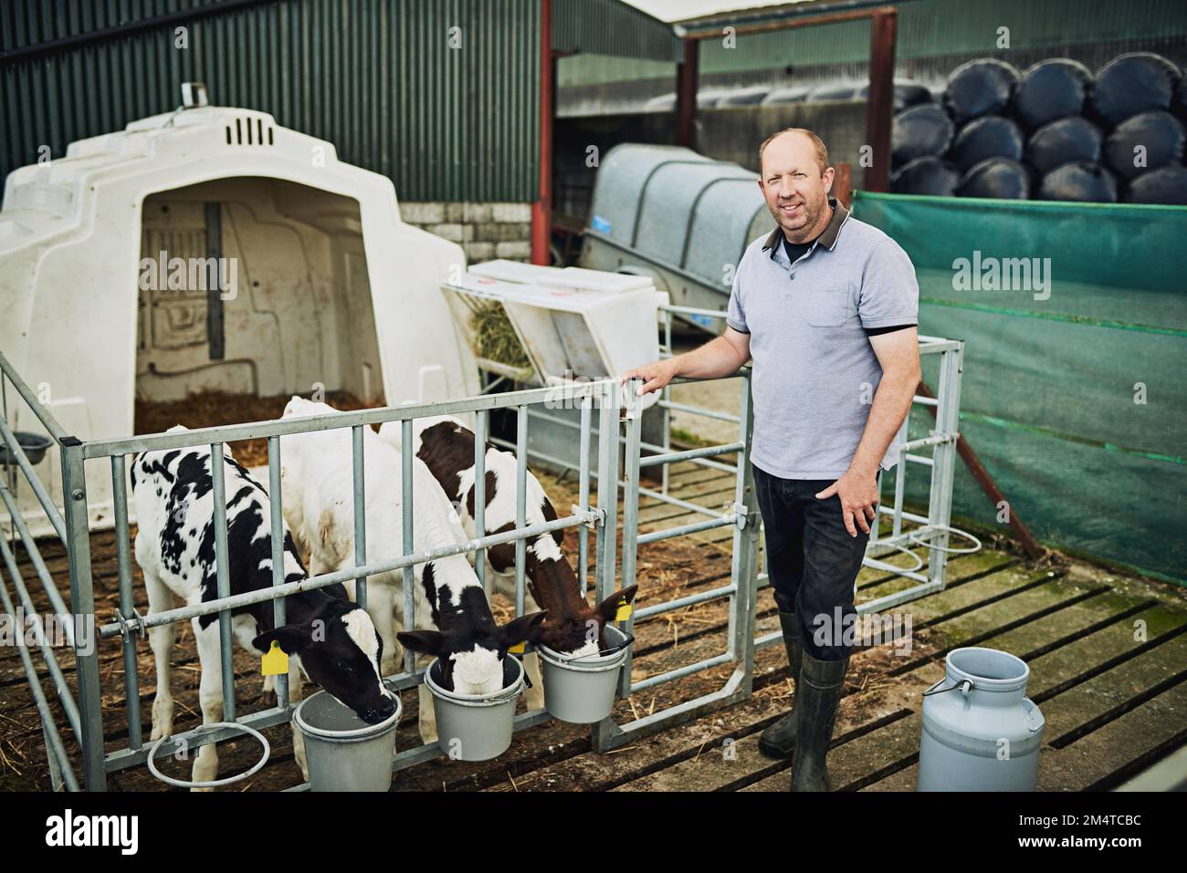 Only the best for my calves. Full length portrait of a male farmer ...