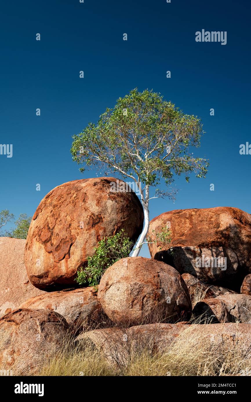 Famous granite boulder called Devils Marbles Stock Photo - Alamy