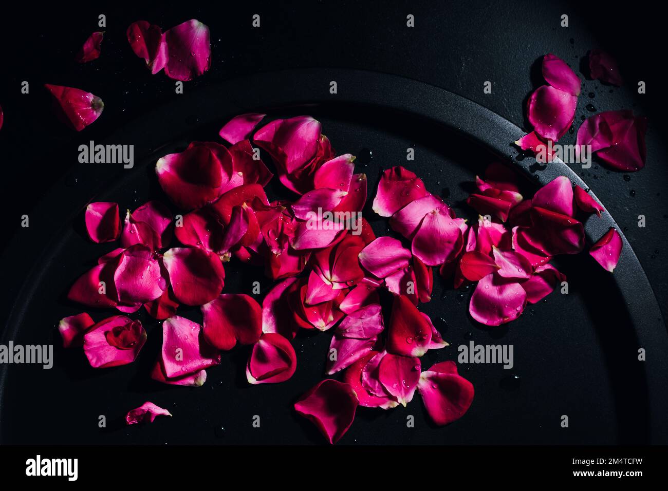 Red rose petals on dark hi-res stock photography and images - Alamy