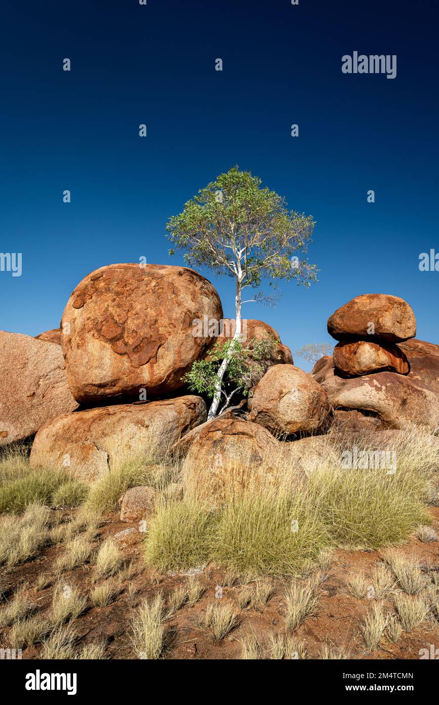 Famous granite boulder called Devils Marbles Stock Photo - Alamy