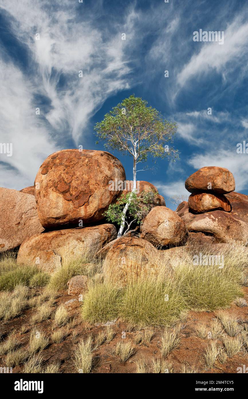 Famous granite boulder called Devils Marbles Stock Photo - Alamy