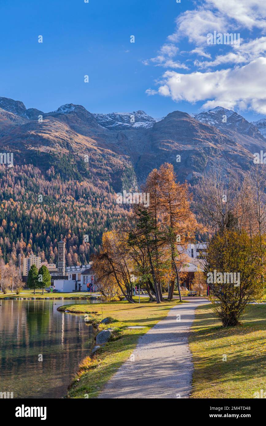 Lake St. Moritz in autumn colours in Engadine, background the Piz ...