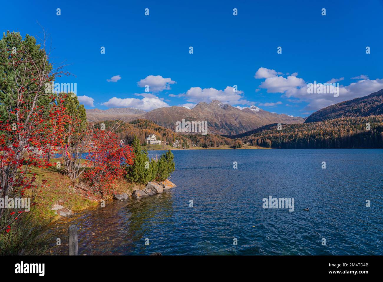 St. Moritz with Lake St. Moritz in autumn colours in Engadine ...