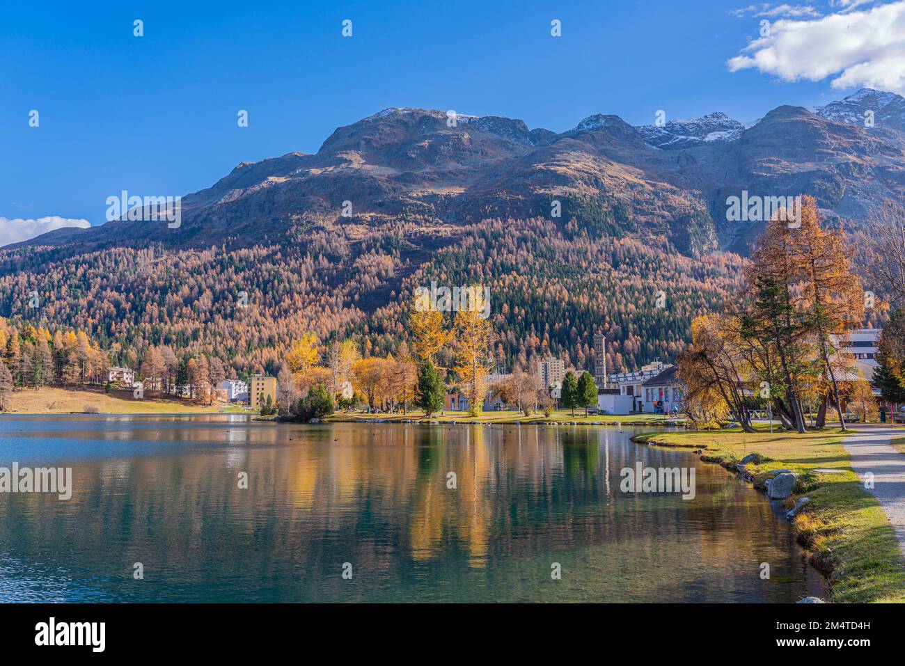 Lake St. Moritz in autumn colours in Engadine, background the Piz ...