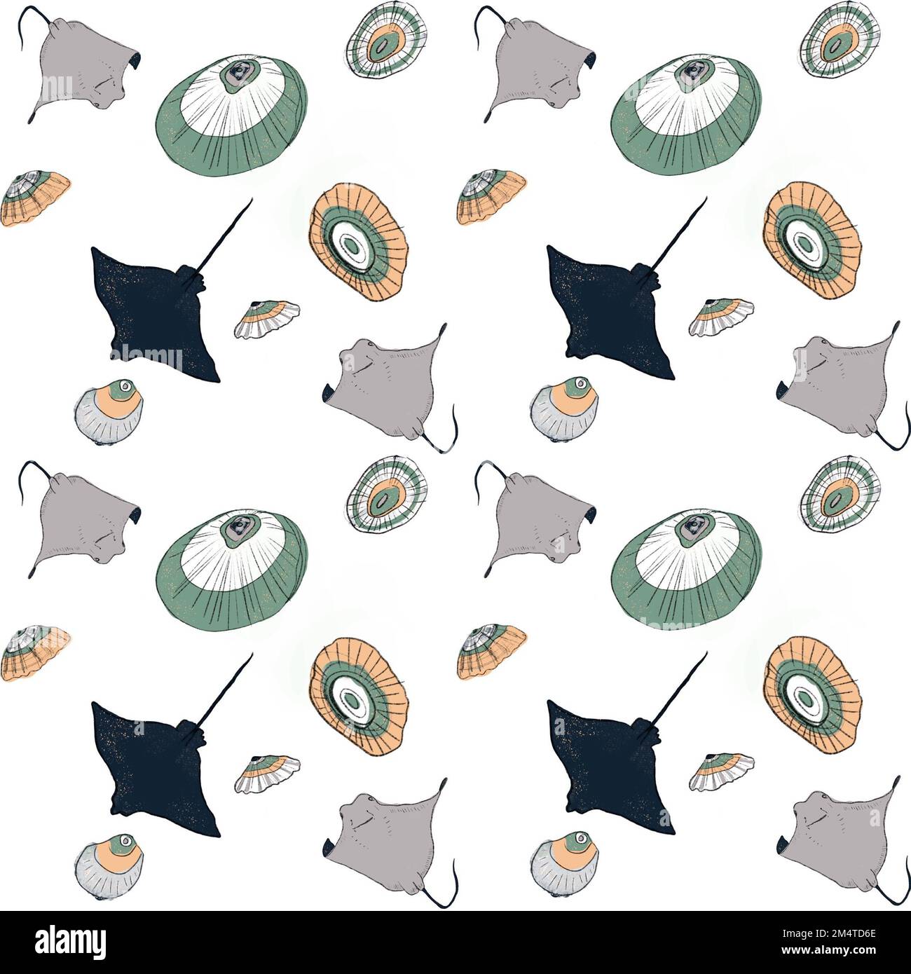 Slope shell sketch seamless pattern a watercolor Stock Photo - Alamy