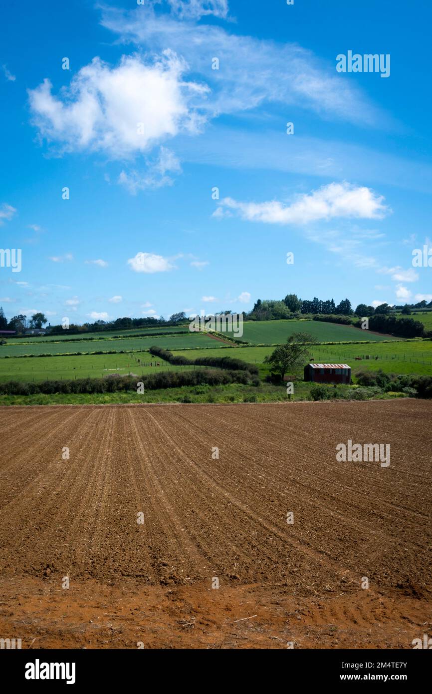 Fertile soil in field at Pukekohe,a market gardening area south of ...