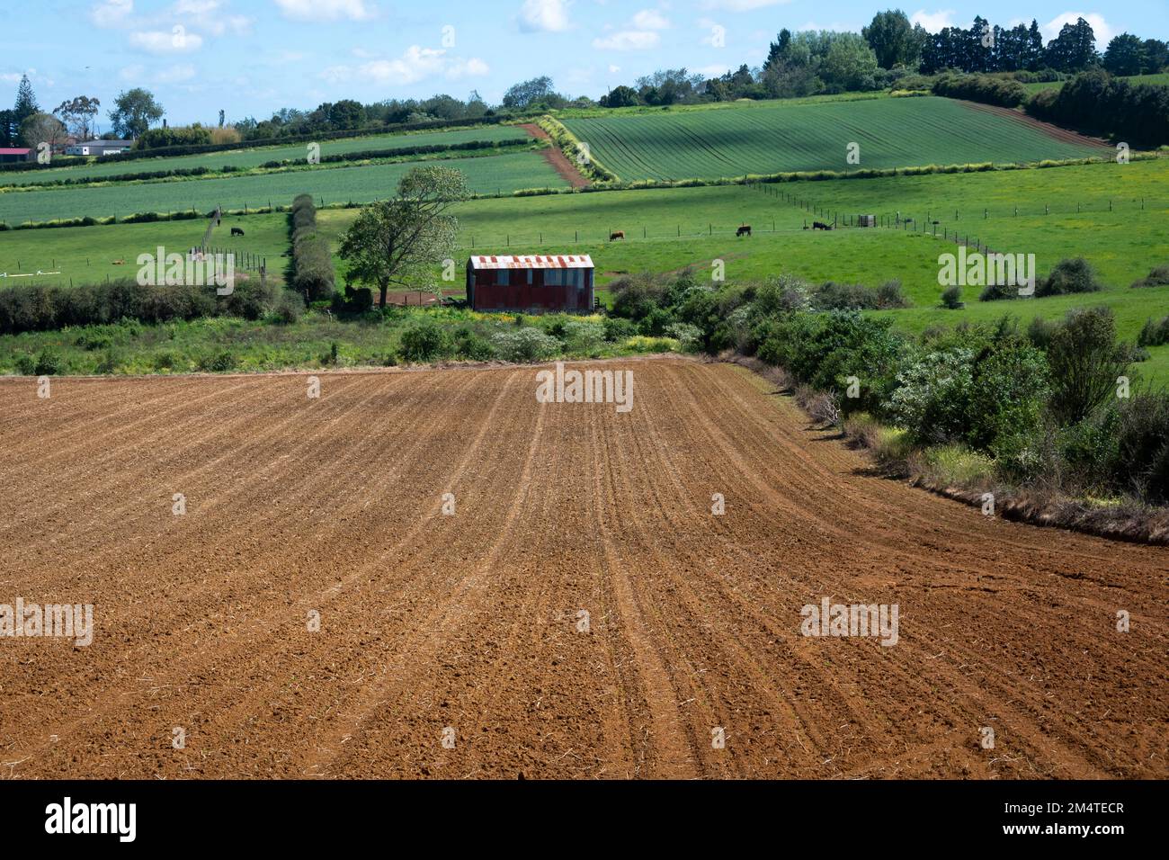 Fertile soil hi-res stock photography and images - Alamy