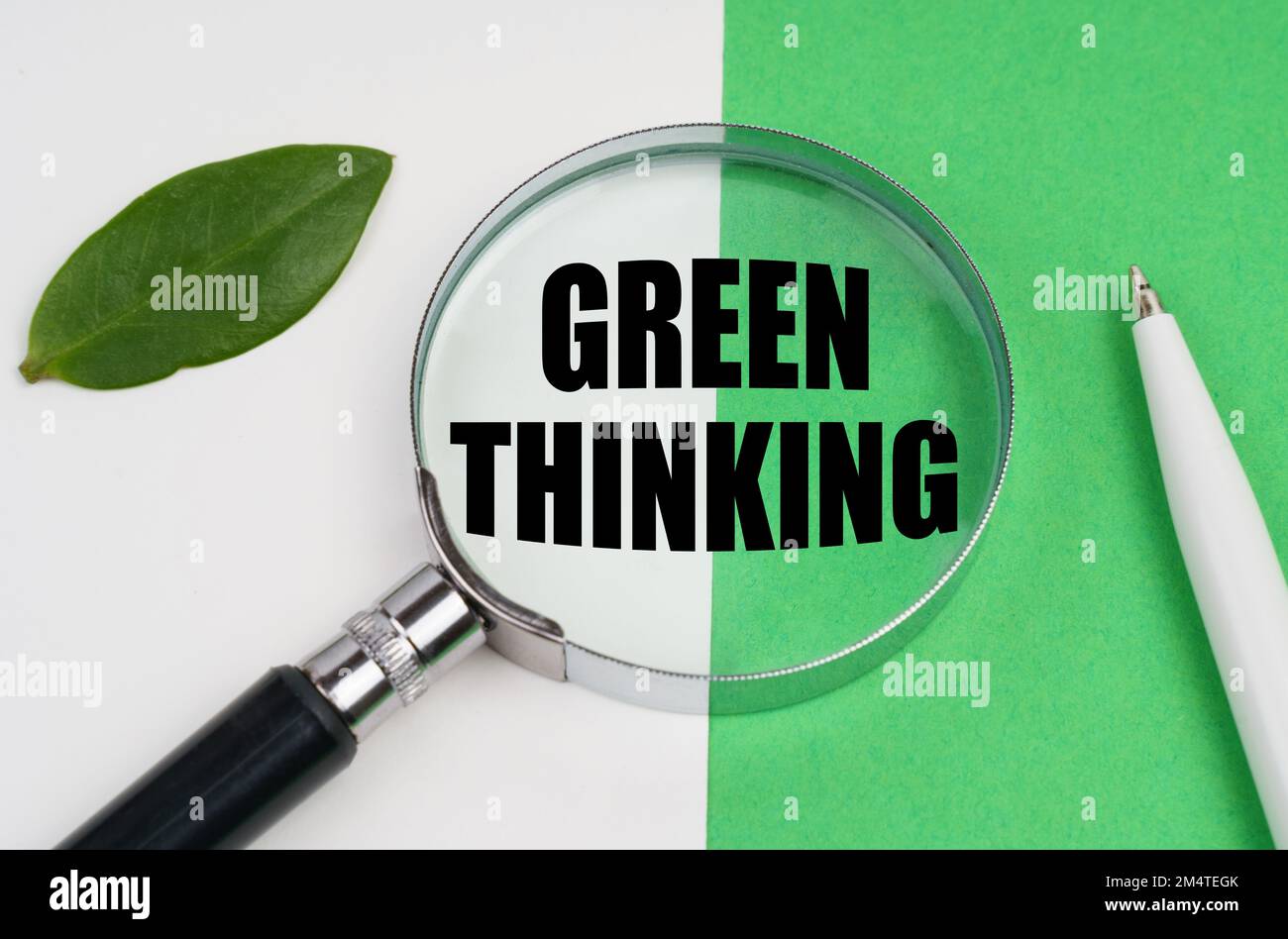 Ecological concept. On a white-green background lies a pen, a leaf of a ...
