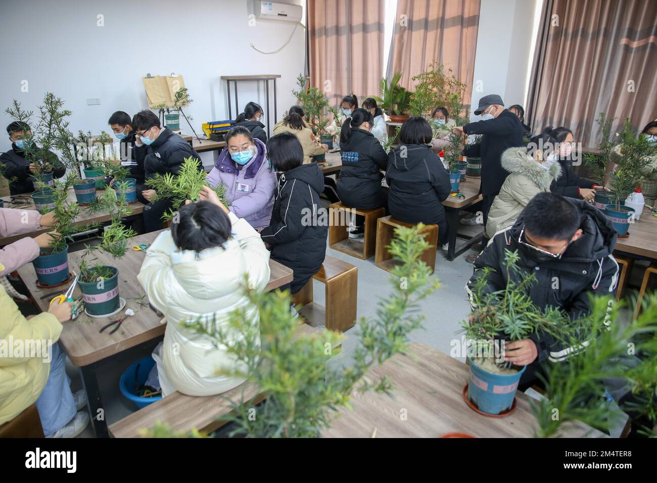 Students learn the techniques of making bonsai (a kind of intangible ...