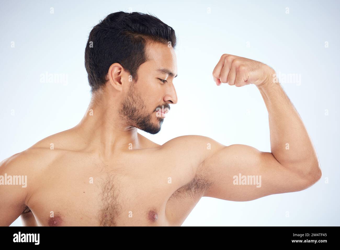 Asian man, body of bicep flex on studio background in studio for muscle ...