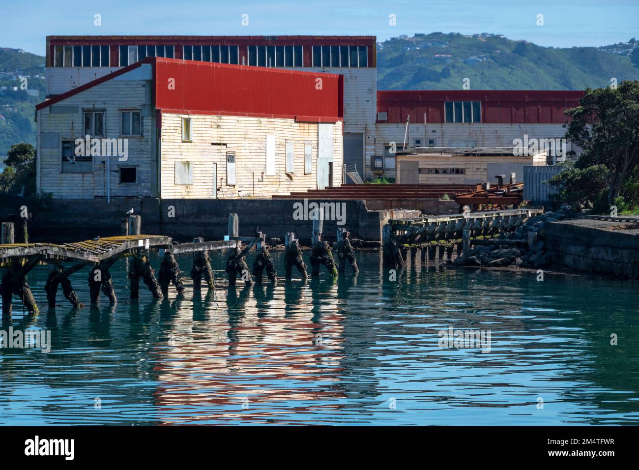 Old ex-military buildings beside harbour, Mirimar, Wellington, North ...