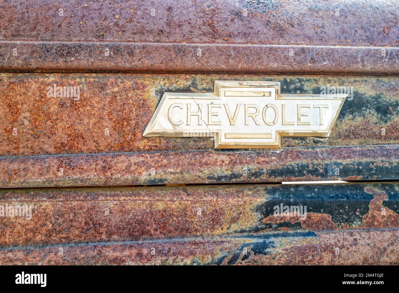 A Chevrolet emblem on the rusty side of an antique pickup truck in ...