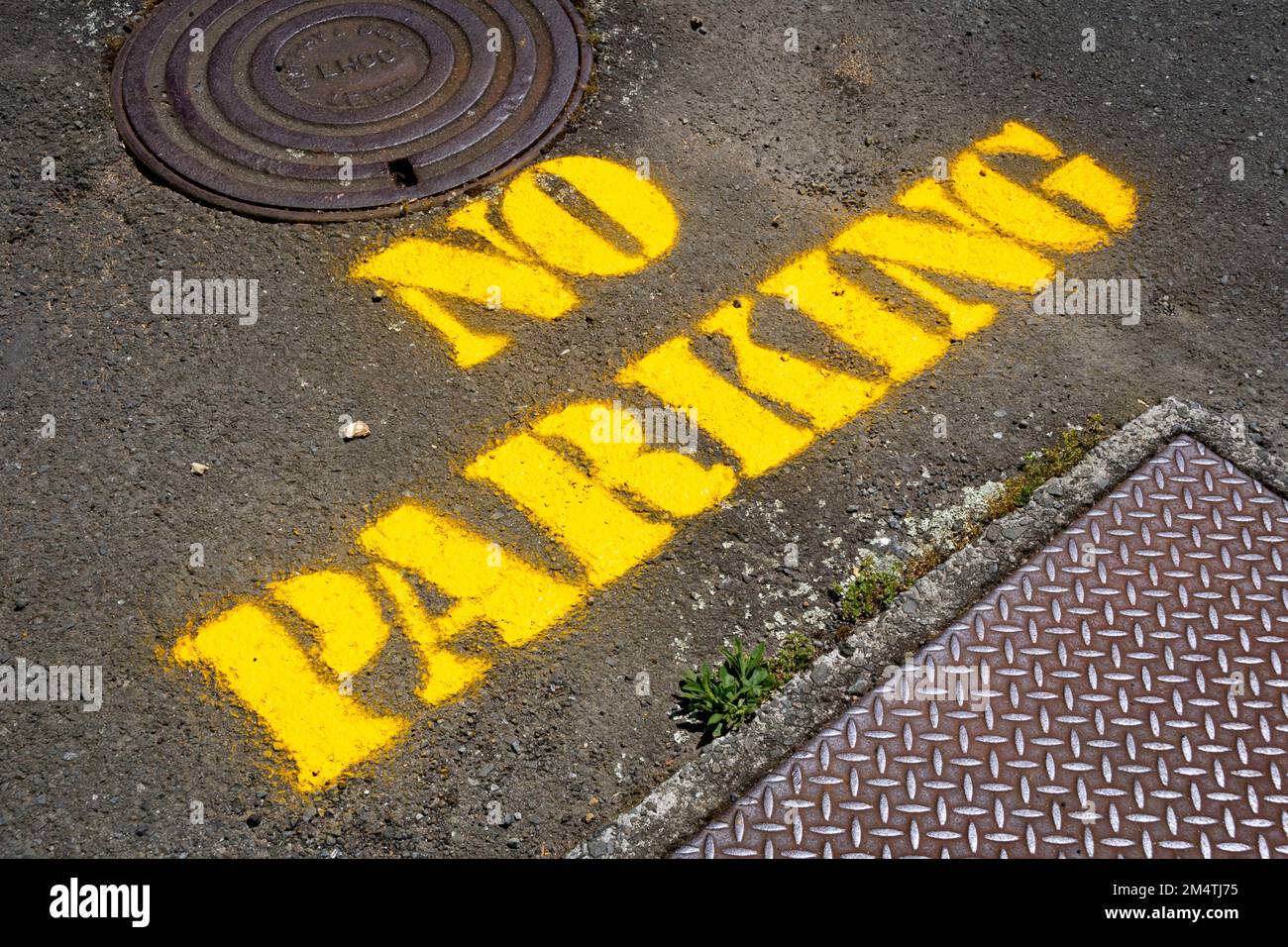 "No Parking" signs, Petone, Wellington, North Island, New Zealand Stock ...