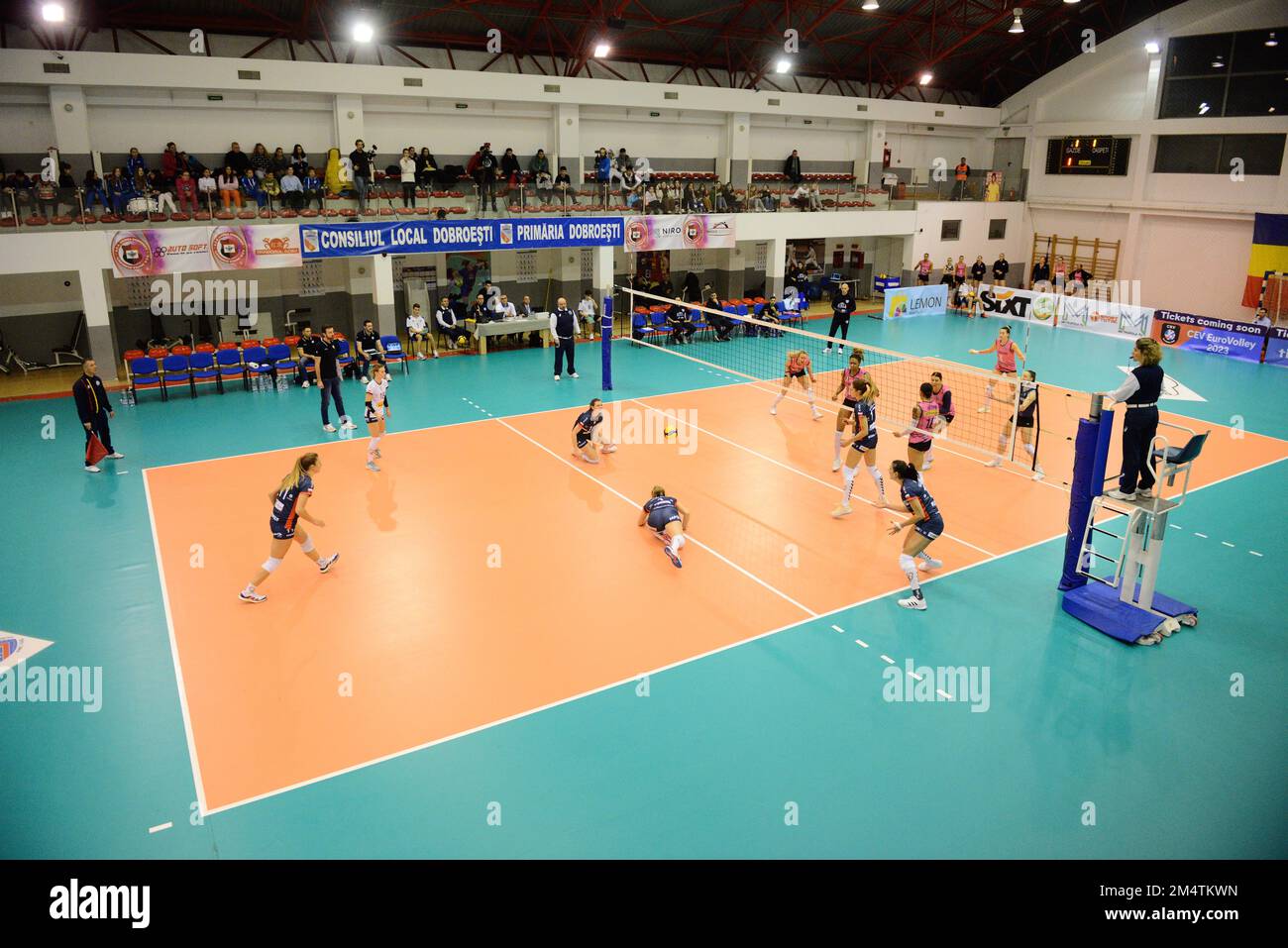 Koprivica milena hi-res stock photography and images - Alamy