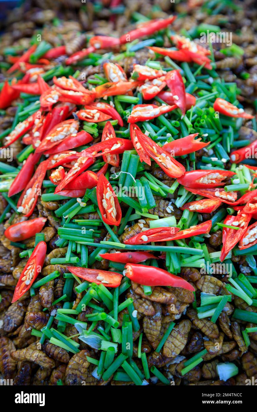 Fried bugs and insects are a common street food snack in Thailand and ...