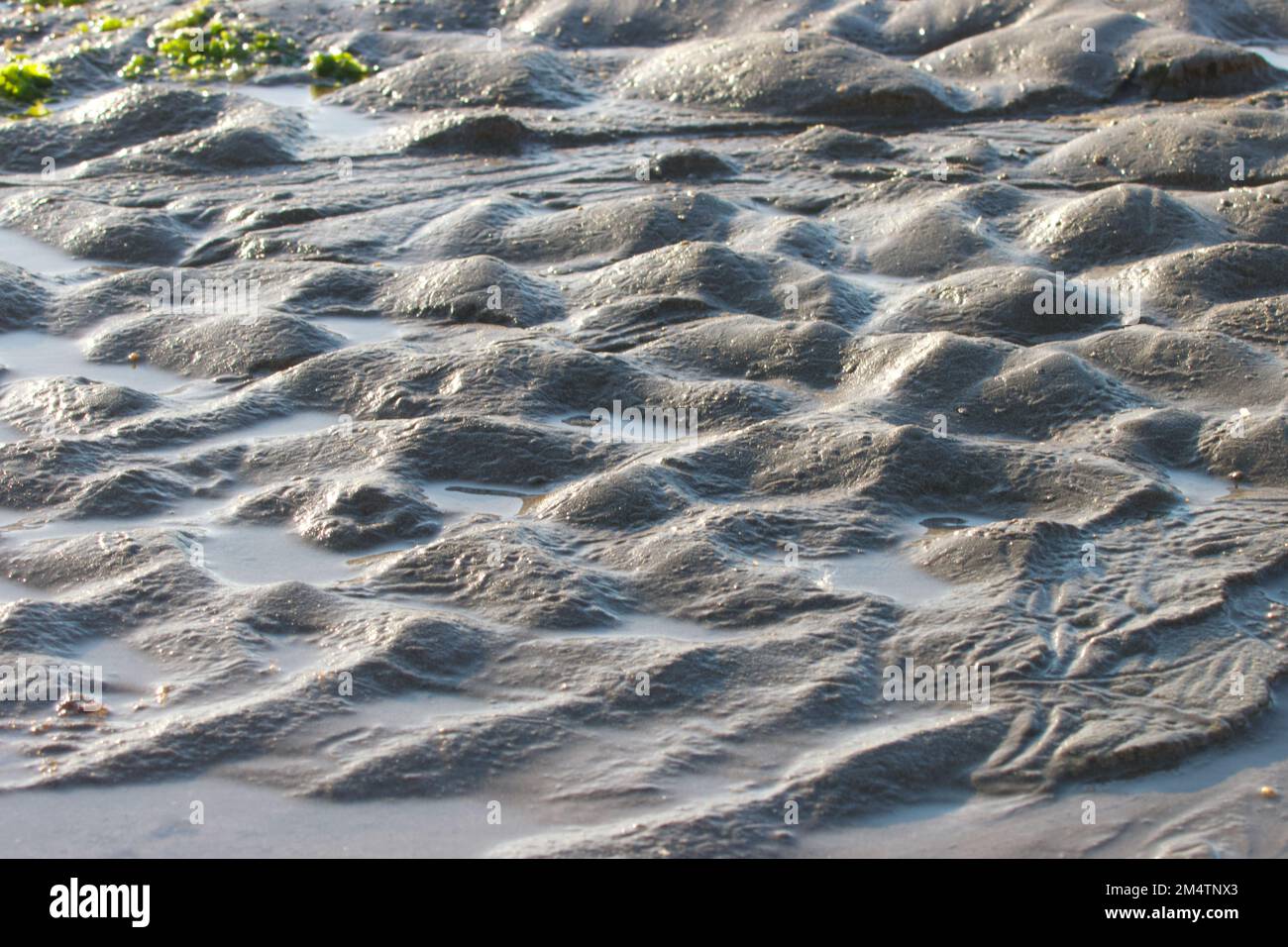 Wet sand background texture pattern Stock Photo - Alamy