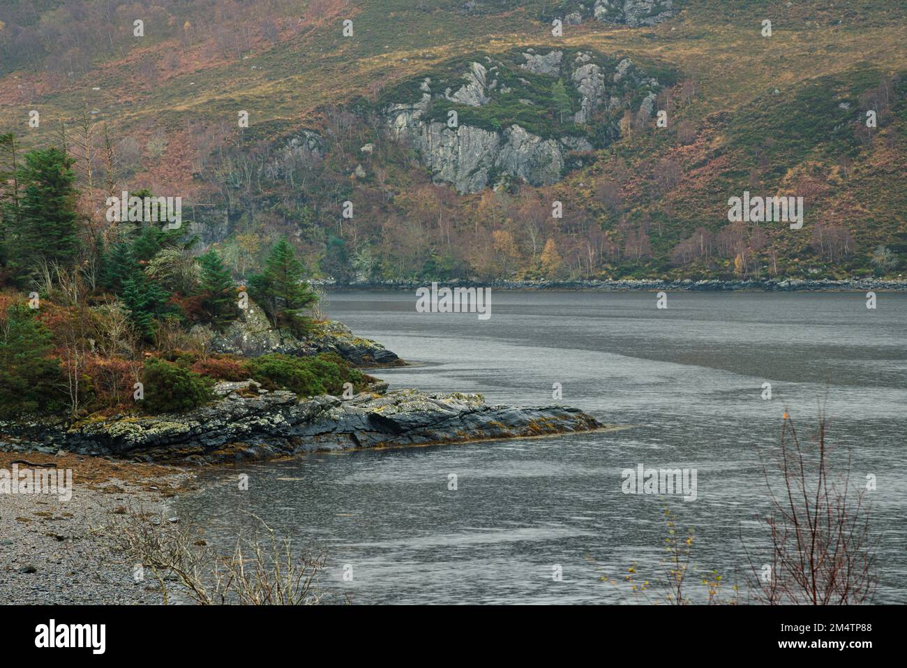 Otter Bay area of Loch Long at Sallachy Stock Photo - Alamy